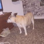 Slatford Facebook, Instagram & Twitter on PeekYou