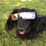 Tom Bosveld Facebook, Instagram & Twitter on PeekYou